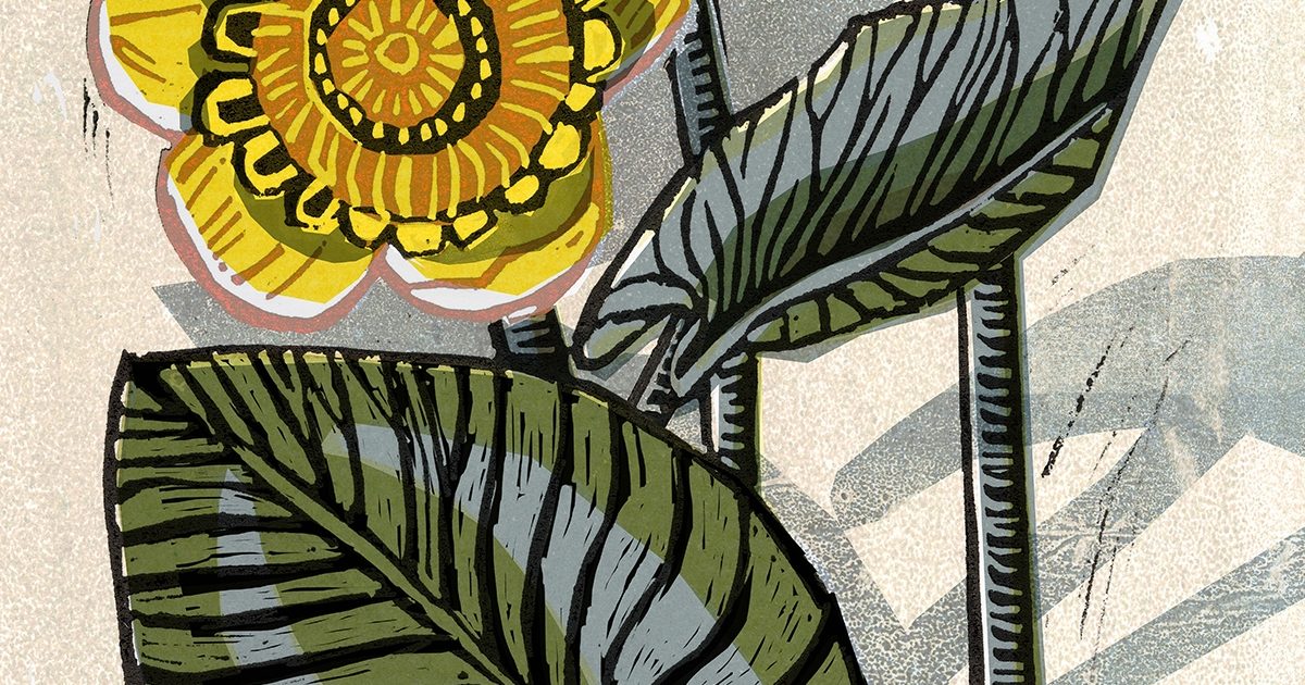Flora Batava | Huis van het boek